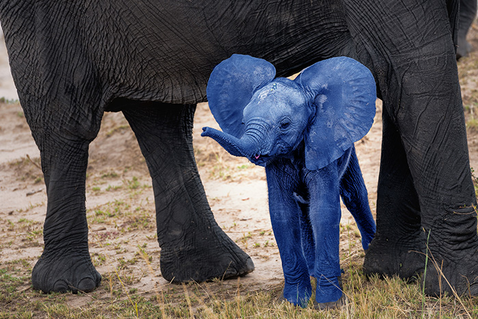 Legacy Postgresql Replication With Slony Explained 8849
