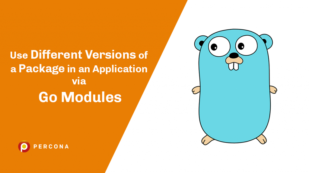Using Different Versions of a Package in an Application via Go Modules