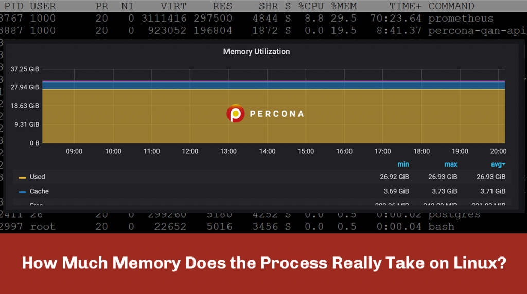 How Much Memory Does the Process Really Take on Linux?